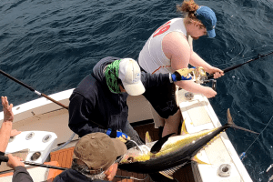 September Yellowfin - Ambition Game Fishing Charters